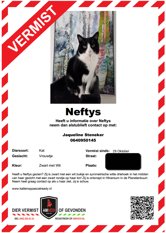 Kat vermist in Hilversum… Help!! – Cat Ready